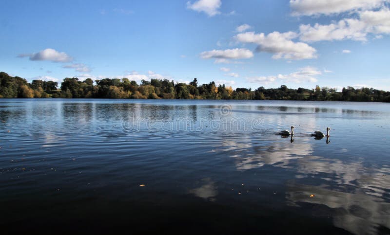 A View of the Mere at Ellesmere in Shropshire Stock Photo - Image of ...