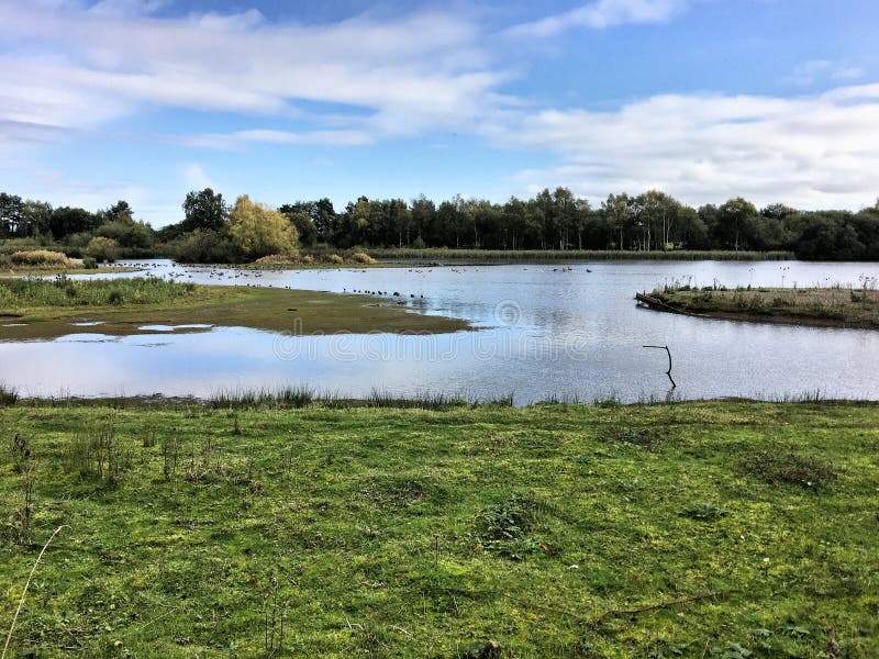 A View of the Mere at Ellesmere in Shropshire Stock Image - Image of ...