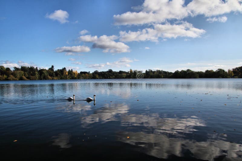 A View of the Mere at Ellesmere in Shropshire Stock Image - Image of ...