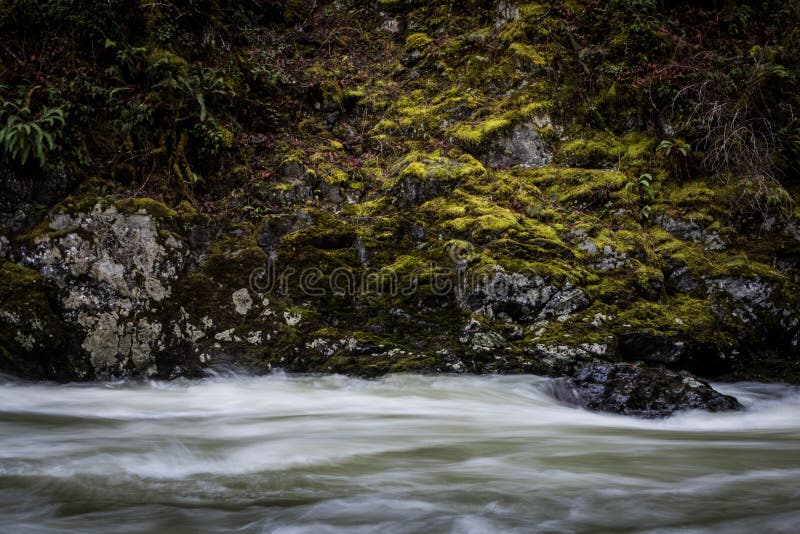 Middle Fork Snoqualmie River Stock Image - Image of hike, america ...
