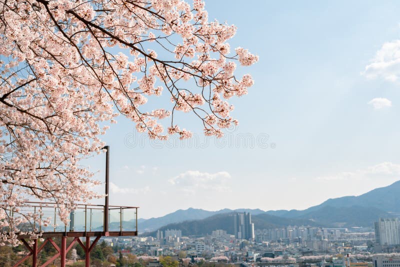 View of Miryang City from Moonlight Ssamji Park Observatory at Spring ...