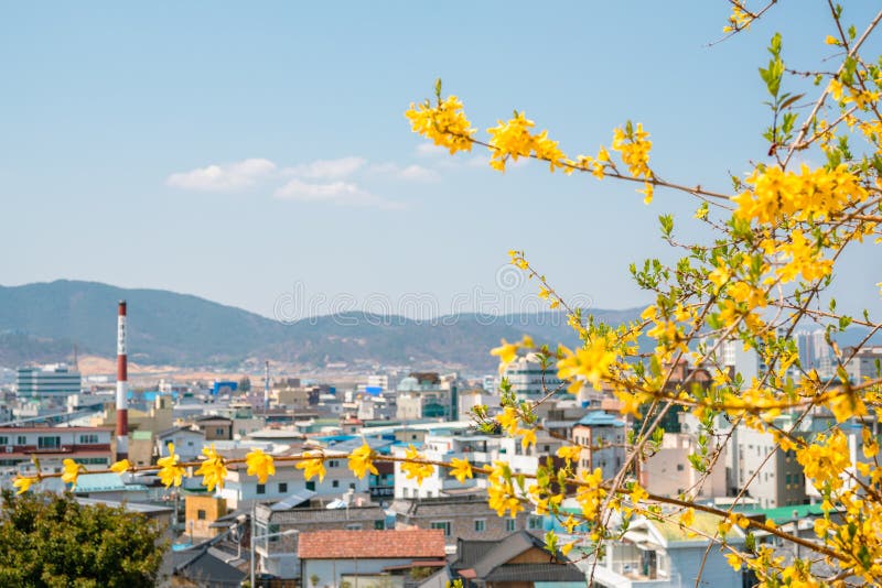 View of Miryang City from Moonlight Ssamji Park Observatory at Spring ...