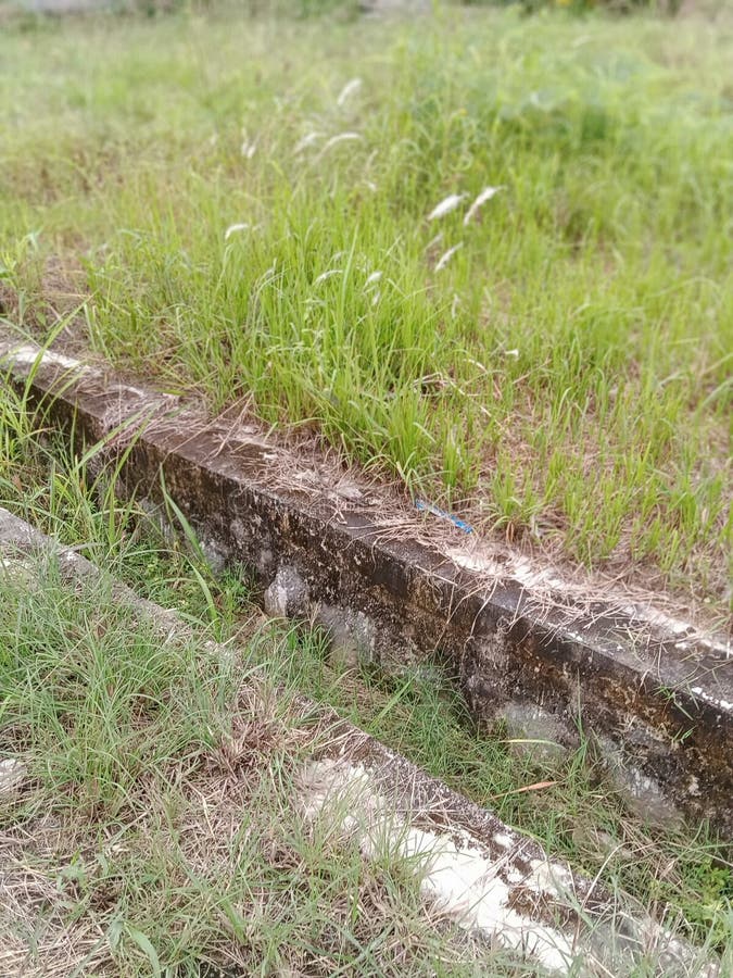 This is a View of a Moat, Surrounded by Weeds. Stock Photo - Image of ...