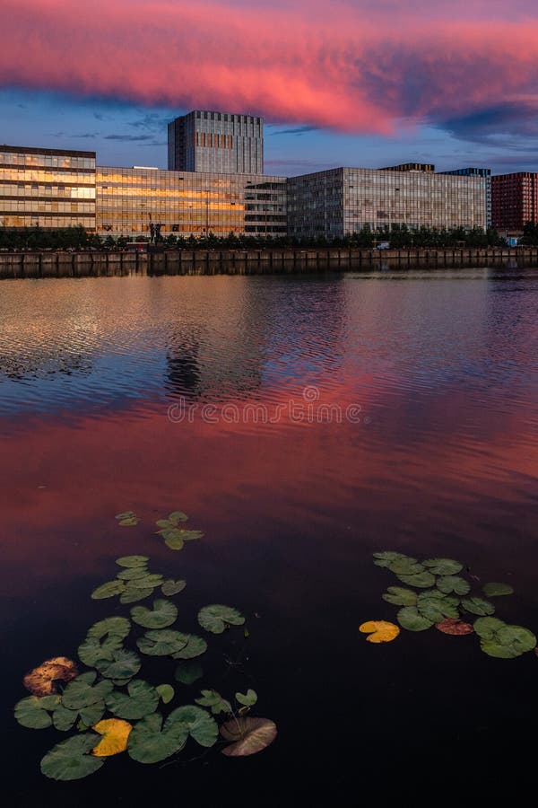 View of Modern Buildings Near the Water during Sunset Stock Photo ...