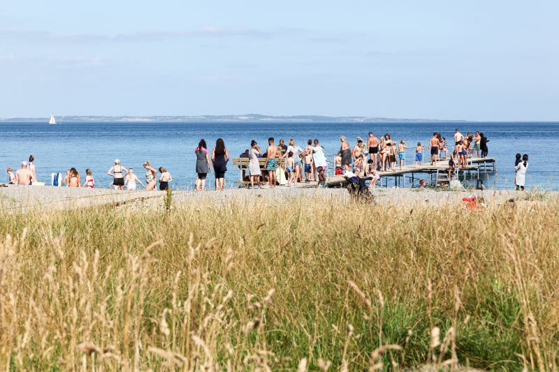 View of Moesgaard Beach in Aarhus during Summer Time Editorial Stock ...