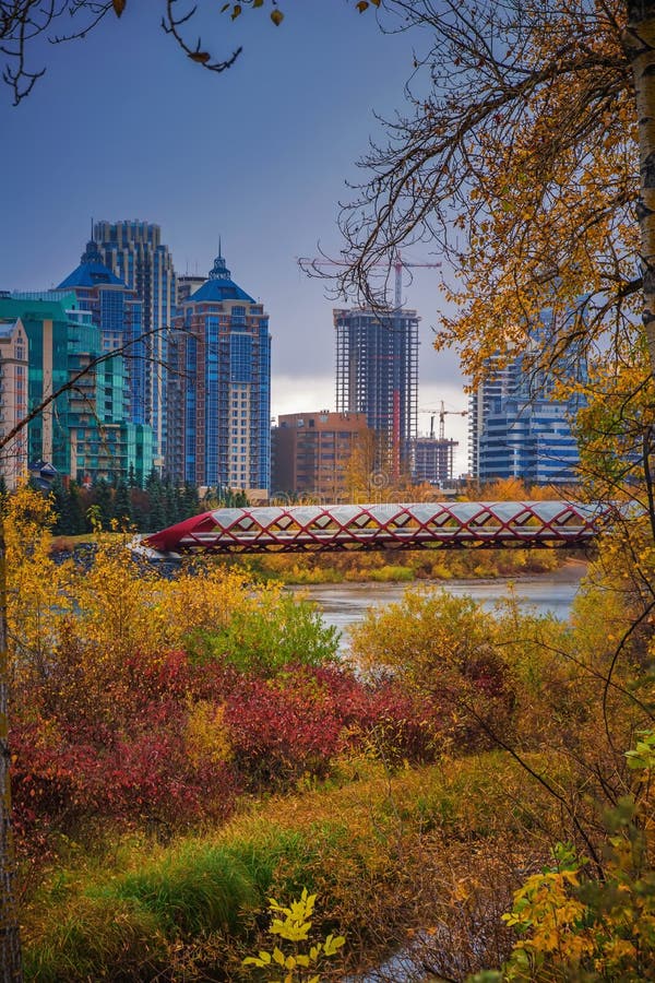 Fall Foliage Framing the Peace Bridge Editorial Stock Photo - Image of ...