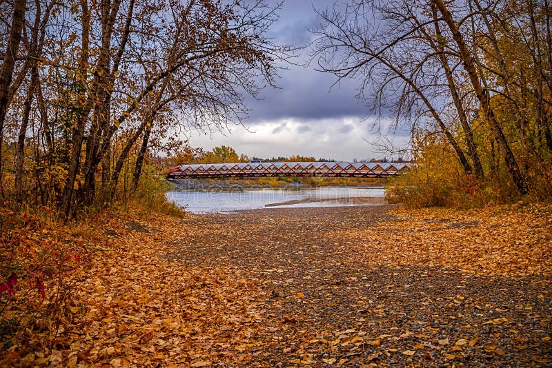 Fall Foliage Pathway To the Peace Bridge Editorial Photography - Image ...