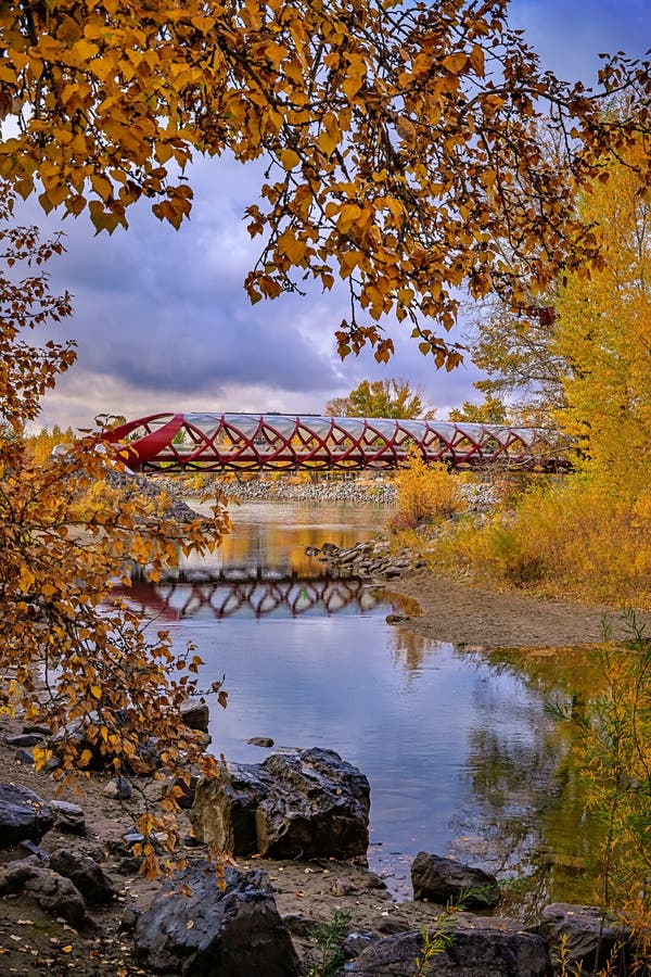 Fall Leaves Framing the Peace Bridge Editorial Photo - Image of ...