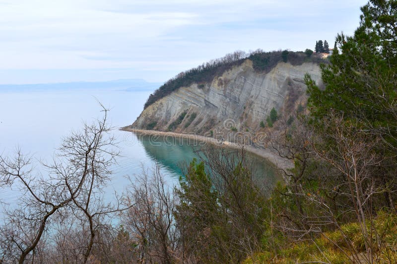 View of the Moon Bay with a Flysch Cliff in Strunjan Nature Reserve ...