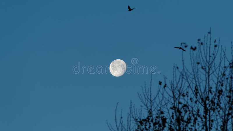 View of the Moon in the Morning Sky Stock Image - Image of cloud ...