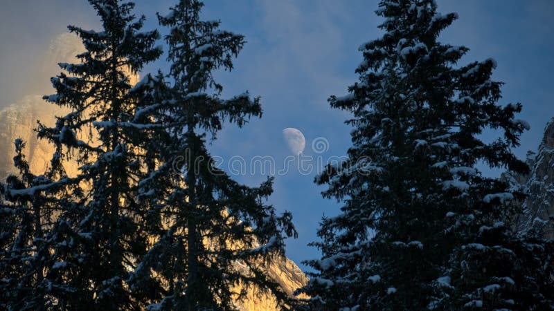View of the Moon between the Trees Near the Mounta Stock Footage ...