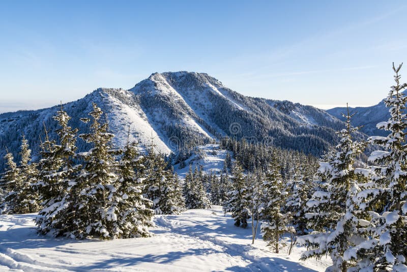 A View of the Morning on the Bobrovec Peak Bobrovec. Stock Image ...