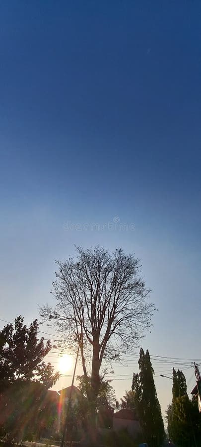 The View in the Morning is Bright with the Rays of the Sun Rising from ...