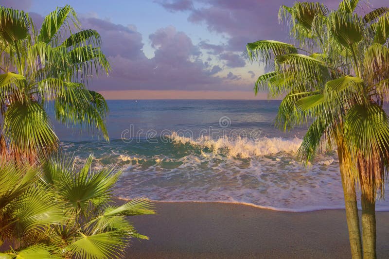View of the Morning Sea through Thickets of Tropical Plants and Palm ...