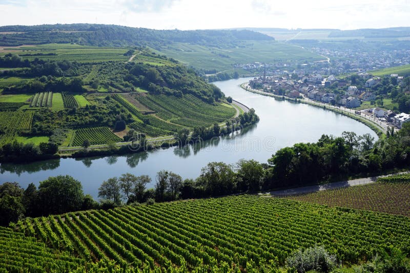 View of Mosel valley stock photo. Image of river, mossele - 77173944