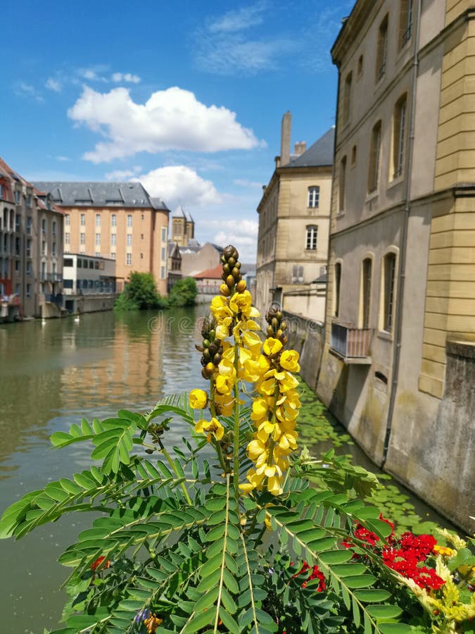 View of the Moselle in Metz from a Bridge Stock Image - Image of travel ...