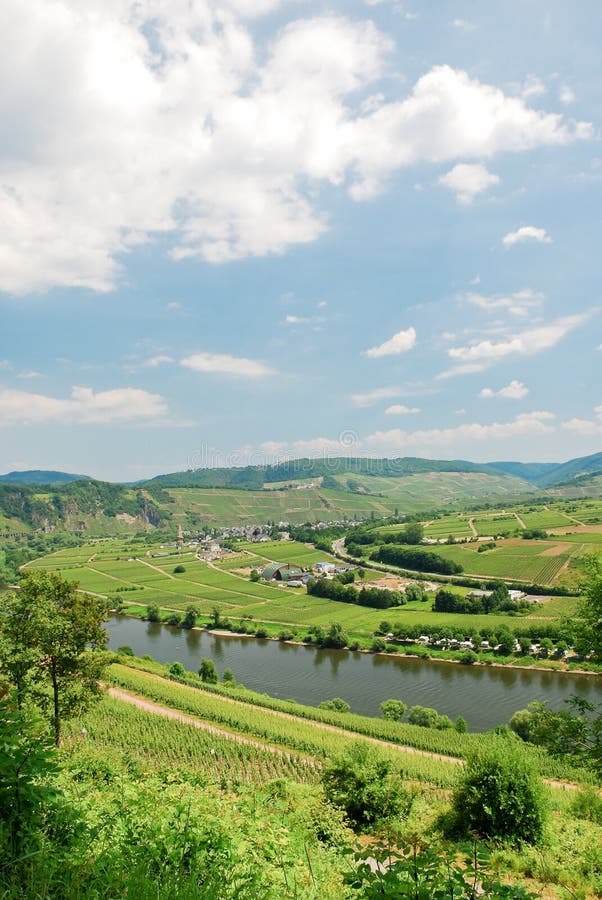 View of Moselle Valley and Mosel River Stock Image - Image of river ...