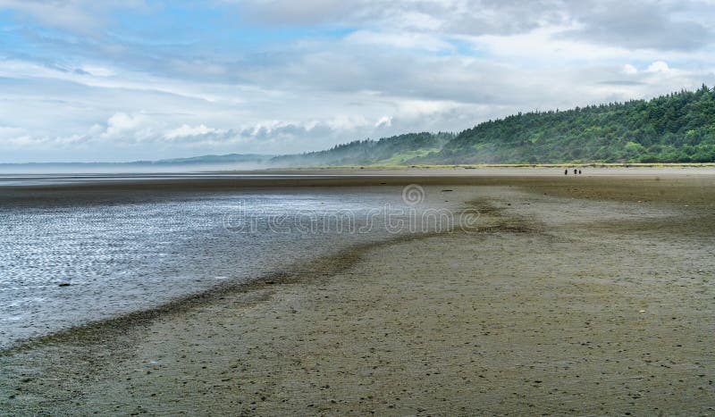 Moclups Sand and Trees 3 stock photo. Image of tourism - 287062202