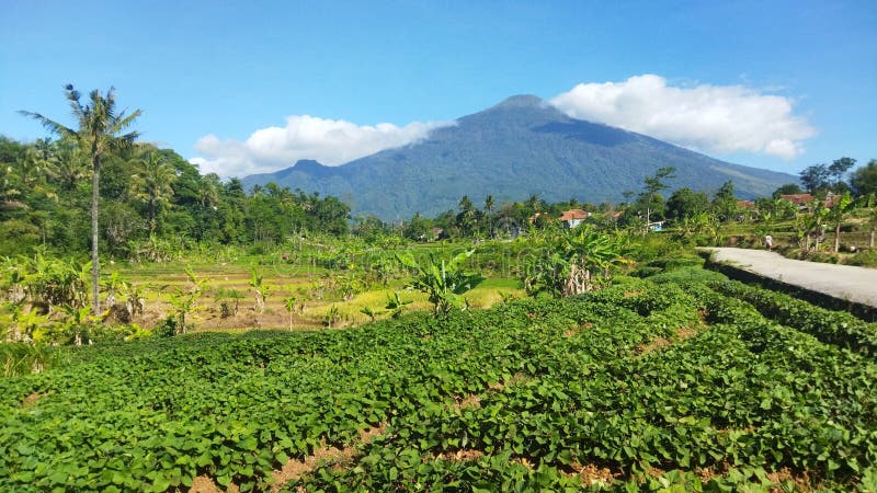 Mount Ciremai stock image. Image of recreational, background - 257879035