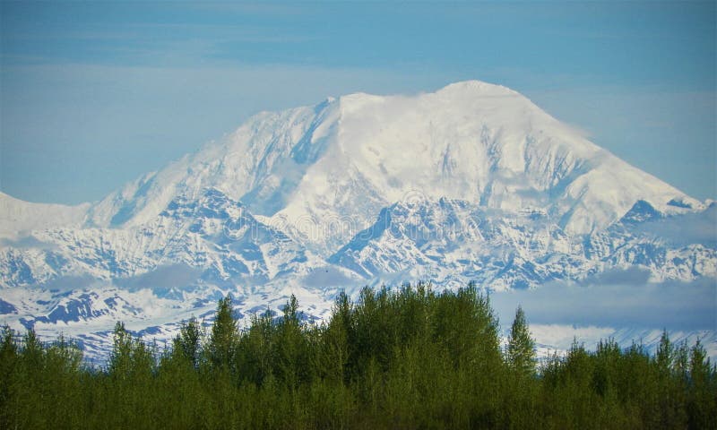 View of Mount Denali Summit Stock Image - Image of forest, national ...