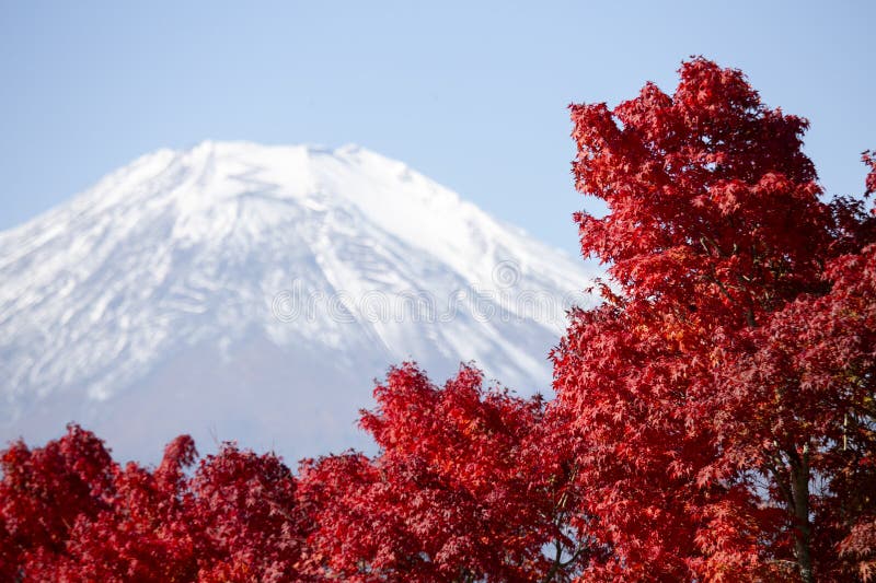 View of Mount Fuji from Chureito Temple Surrounded by Red Maples in ...