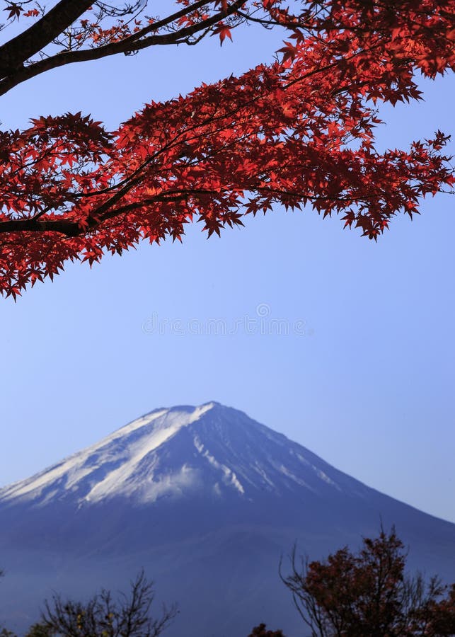 View of Mount Fuji from Shintoist Temple at Shimoyoshida, Fujioshida ...