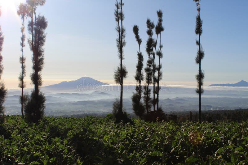 View mount ini the morning stock image. Image of grass - 265582639