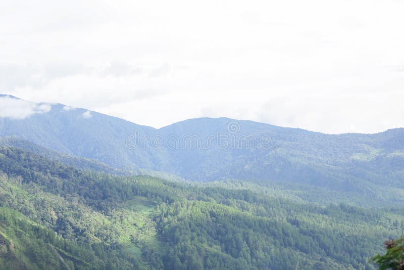 View of Mount Leuser Forest Park Aceh Sumatra Indonesia Stock Photo ...