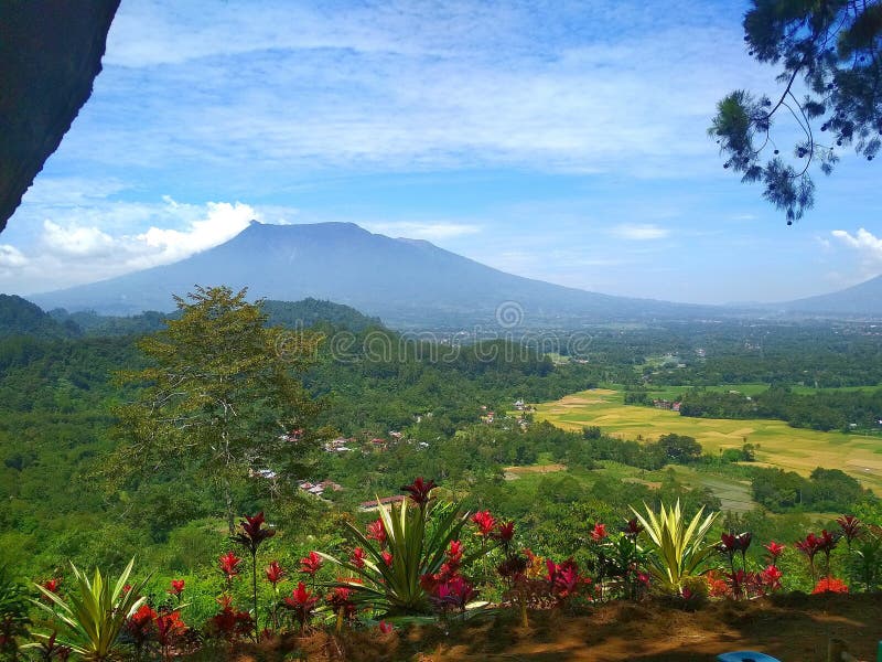 View of Mount Marapi,West Sumatra Stock Photo - Image of flower ...