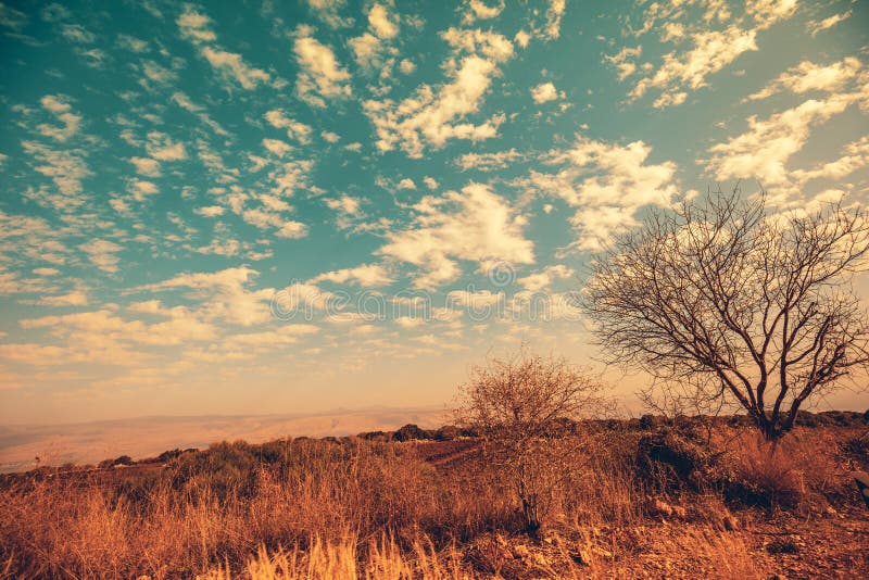 View from mount Menara stock photo. Image of canyon - 172493992