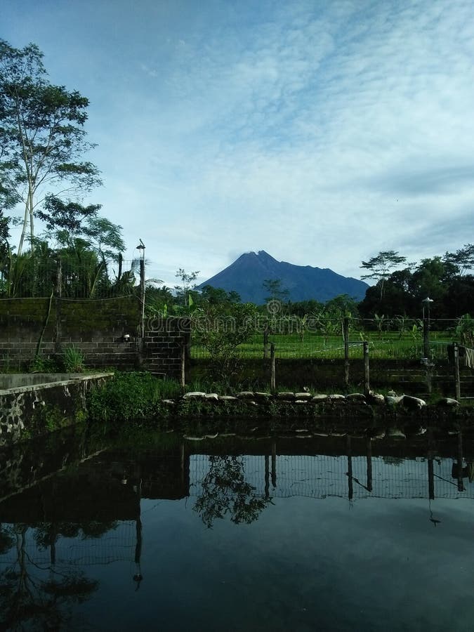 View of mount merapi stock photo. Image of view, plants - 344619676