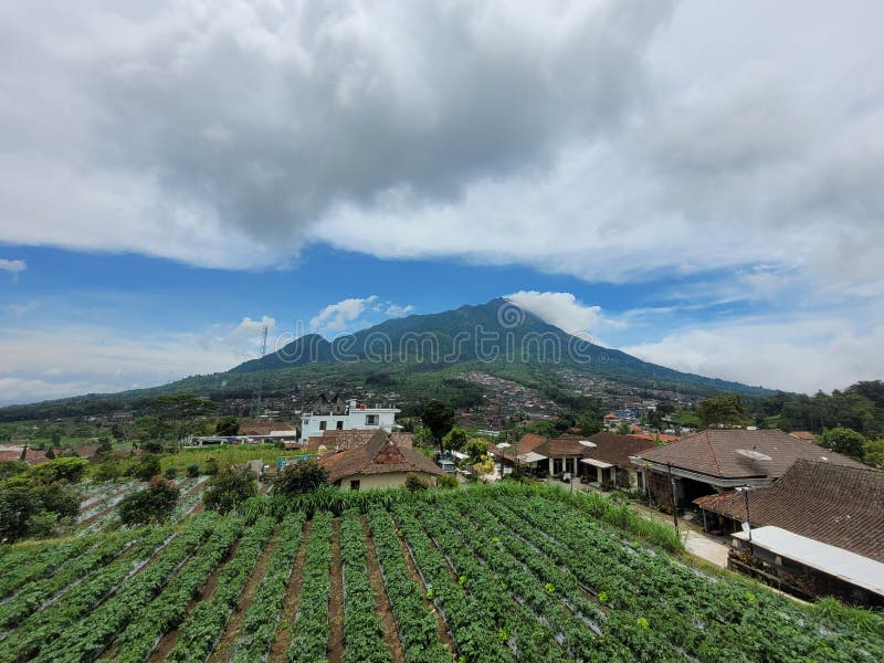 View of Mount Merapi from the Direction of Selo Boyolali Stock Photo ...