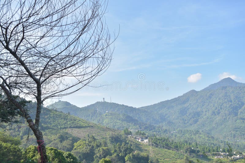 View of Mount Pangrango, West Java, in the Morning from Puncak Bogor ...