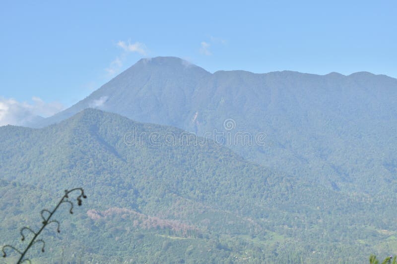 View of Mount Pangrango, West Java, in the Morning from Puncak Bogor ...