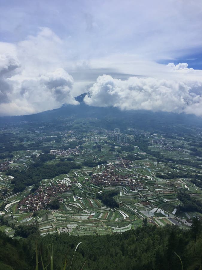 View of Mount Rice Field Cloudy Blue Sky Stock Photo - Image of ...