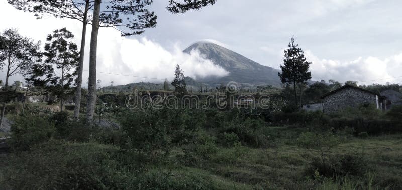 Mount Sindoro Seen from the Slopes of Mount Sumbing in the Morning ...