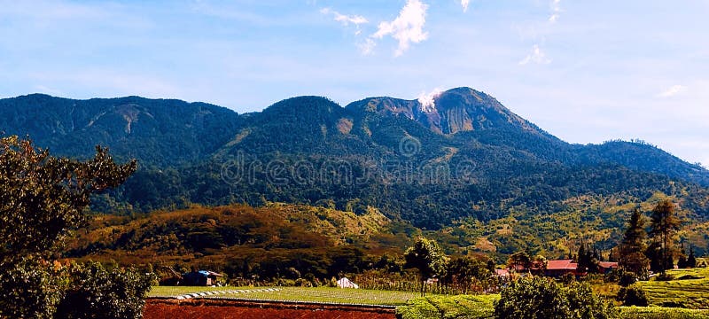 View of Mount Talang from a Tea Garden in West Sumatra, Indonesia Stock ...