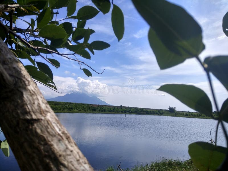 The View Mountain Behind the Tree Stock Photo - Image of tree, nature ...