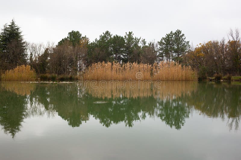 View of a Mountain Lake Surrounded by Bushes and Trees in Autumn Stock ...