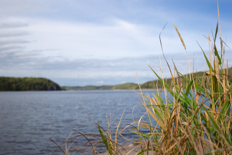 View of a Mountain Lake Surrounded by Bushes and Trees in Autumn Stock ...