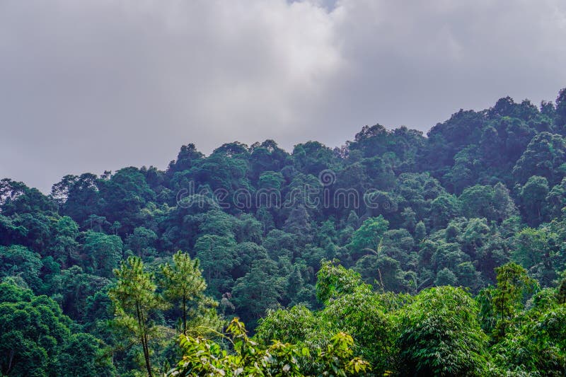View of the Mountain Landscape in Bogor, West Java. Stock Photo - Image ...
