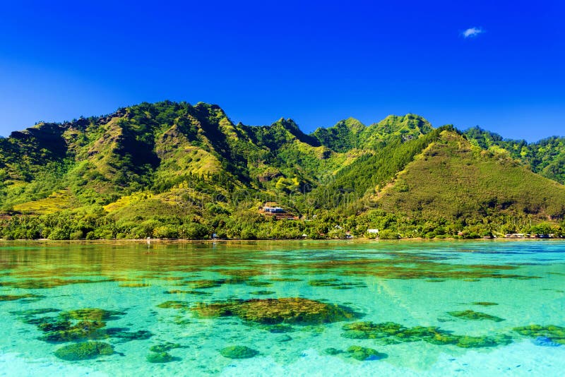 View of the Mountain Landscape, Moorea Island, French Polynesia. Copy ...