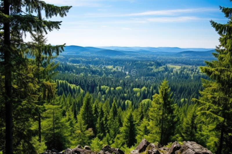 View from a Mountain Peak Overlooking a Forest Stock Image - Image of ...