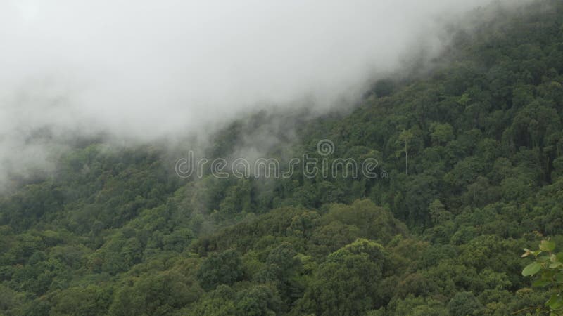 View of the Mountain Range Hill with Greenery Rain Forest and Mist ...