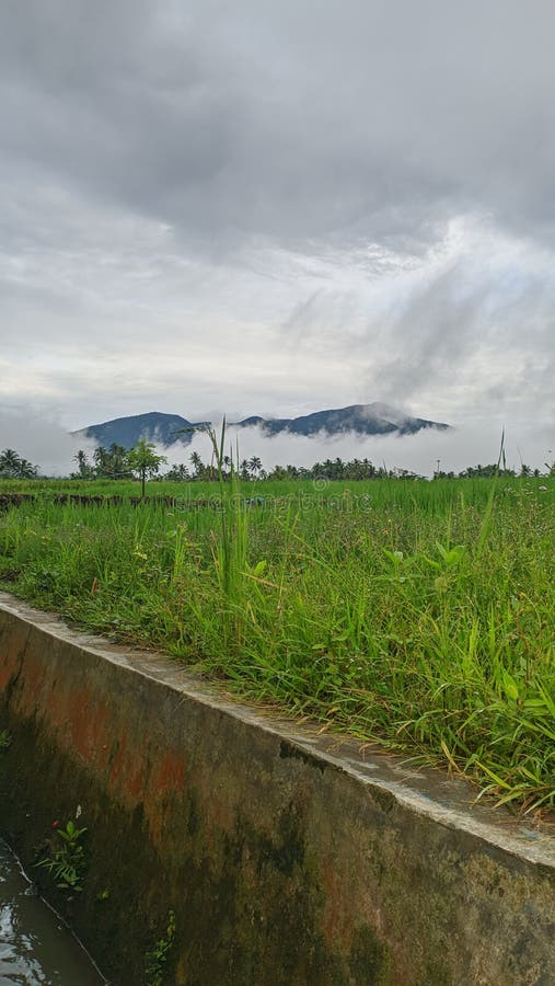 View of Mountain and Rice Field in Cloudy Sky Stock Image - Image of ...