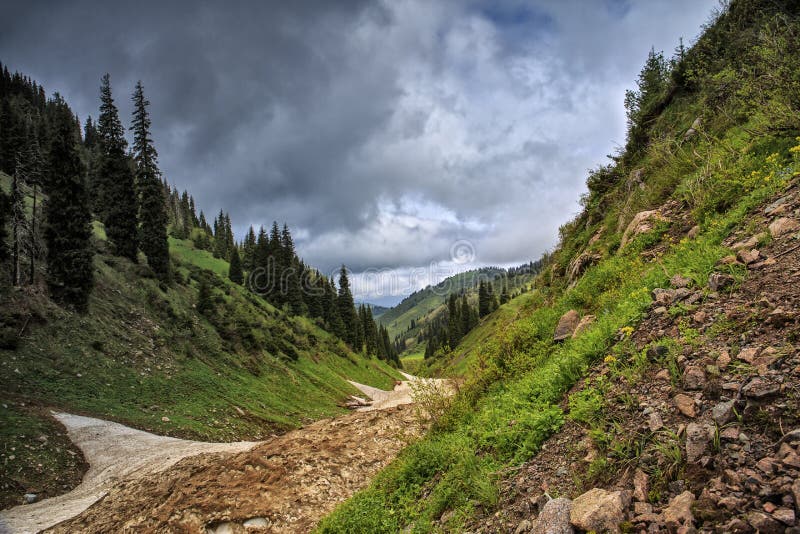 Snow from the Avalanches in the Gorge. Stock Photo - Image of green ...