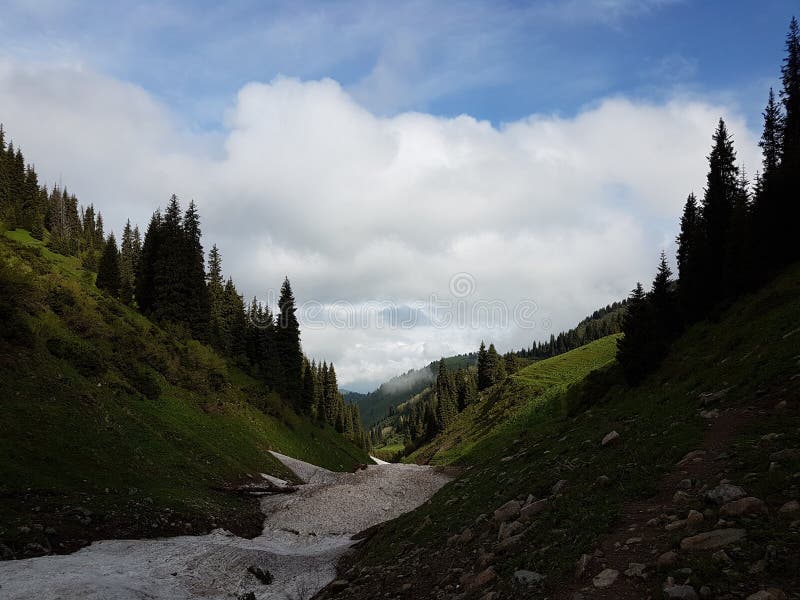 Snow from the Avalanches in the Gorge. Stock Photo - Image of snow ...