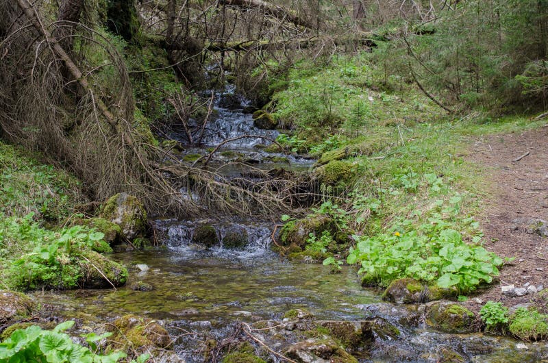 View of Mountain River in Early Spring, in Slovakia Stock Image - Image ...