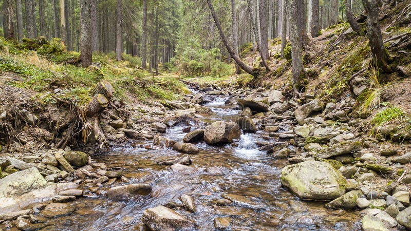 A View of a Mountain Stream that Flows Down a Slope of Stones Stock ...