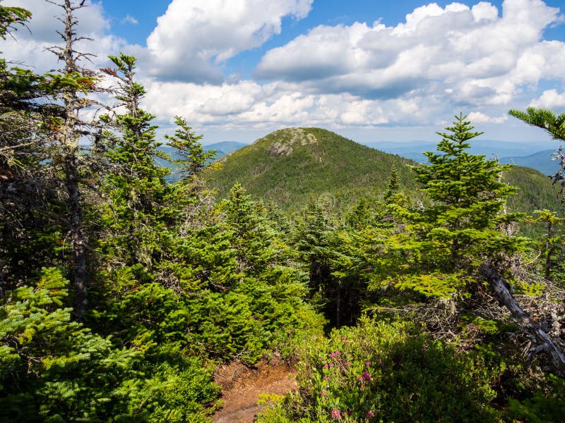 Mountain View, Overlook of Dense Maine Forest, Mahoosuc Range Stock ...
